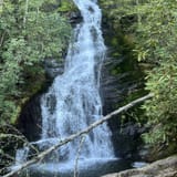 Red Fork Falls Trail, Tennessee - 249 Reviews, Map | AllTrails