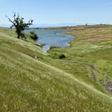 Phantom Falls Loop, California - 1,127 Reviews, Map | AllTrails