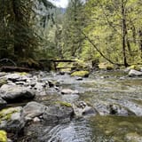 Staircase Rapids Loop, Washington - 2,471 Reviews, Map | AllTrails