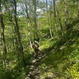 High Rocks, Pennsylvania - 3,003 Reviews, Map | AllTrails
