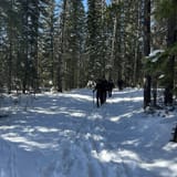 Elbow River Lookout via Snagmore and Elbow Trail Loop, Alberta, Canada ...