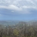 Springer Mountain, Georgia - 624 Reviews, Map | AllTrails