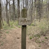 Springer Mountain, Georgia - 624 Reviews, Map | AllTrails