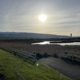 Damonte Ranch Wetland Loop, Nevada - 1,123 Reviews, Map | AllTrails