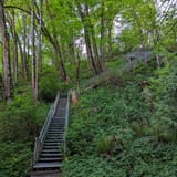 Lake Fenwick, Washington - 666 Reviews, Map | AllTrails