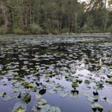 Lake Fenwick, Washington - 666 Reviews, Map | AllTrails