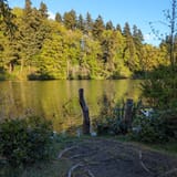 Lake Fenwick, Washington - 666 Reviews, Map | AllTrails