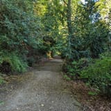 Lake Fenwick, Washington - 666 Reviews, Map | AllTrails