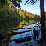 Lake Fenwick, Washington - 666 Reviews, Map | AllTrails