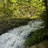 Lake Wedington Hiking Trail, Arkansas - 664 Reviews, Map | AllTrails