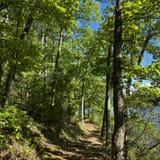 Lake Wedington Hiking Trail, Arkansas - 664 Reviews, Map | AllTrails