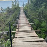 Tubbs Hill, Idaho - 4,046 Reviews, Map | AllTrails