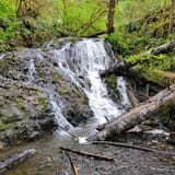 Mima Falls Loop, Washington - 1,602 Reviews, Map | AllTrails