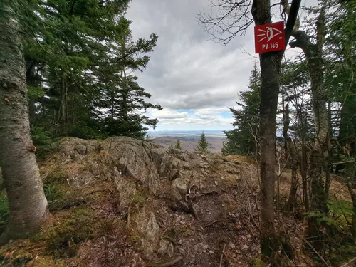 Best Forest Trails in Dudswell | AllTrails