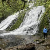 Alsea Falls and Green Peak Falls, Oregon - 1,133 Reviews, Map | AllTrails