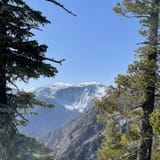 Timber Mountain, California - 1,537 Reviews, Map | AllTrails