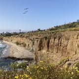 Sunset Cliffs Park Trail, California - 893 Reviews, Map | AllTrails