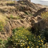 Sunset Cliffs Park Trail, California - 893 Reviews, Map | AllTrails