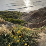Sunset Cliffs Park Trail, California - 893 Reviews, Map | AllTrails