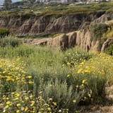 Sunset Cliffs Park Trail, California - 893 Reviews, Map | AllTrails