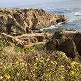 Sunset Cliffs Park Trail, California - 893 Reviews, Map | AllTrails