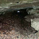 Panther Den Loop, Illinois - 1,021 Reviews, Map | AllTrails