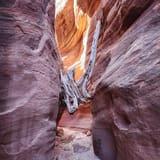Wire Pass Trail, Utah - 2,858 Reviews, Map | AllTrails