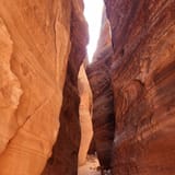 Wire Pass Trail, Utah - 2,858 Reviews, Map | AllTrails