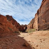 Wire Pass Trail, Utah - 2,858 Reviews, Map | AllTrails