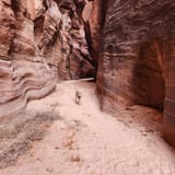 Wire Pass Trail, Utah - 2,858 Reviews, Map | AllTrails
