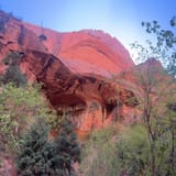 Middle Fork Taylor Creek Trail, Utah - 3,251 Reviews, Map | AllTrails