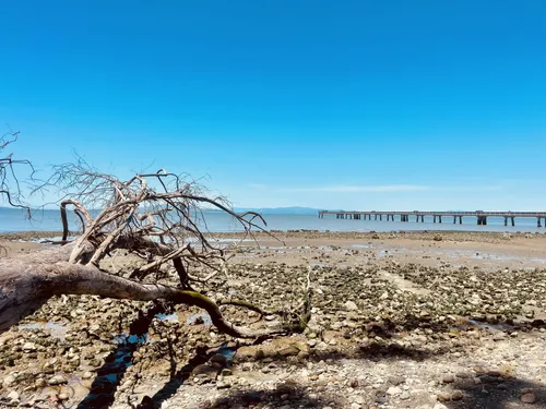 Best Easy Trails in Point Pinole Regional Park | AllTrails