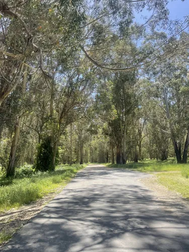 Best Easy Trails in Point Pinole Regional Park | AllTrails