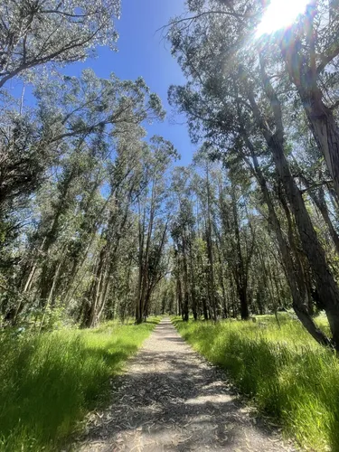 Best Easy Trails in Point Pinole Regional Park | AllTrails