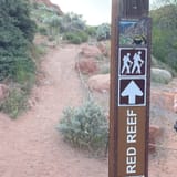 Red Reef Trail, Utah - 2,281 Reviews, Map | AllTrails