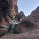 Red Reef Trail, Utah - 2,339 Reviews, Map | AllTrails