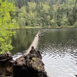 Fragrance Lake Trail, Washington - 2,882 Reviews, Map | AllTrails