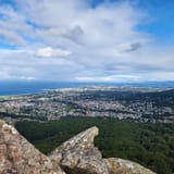 Brokers Nose Track, New South Wales, Australia - 425 Reviews, Map ...