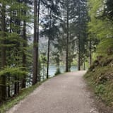 Eibsee Loop, Bavaria, Germany - 993 Reviews, Map | AllTrails