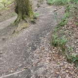 Anglezarke Reservoir, Lancashire, England - 554 Reviews, Map | AllTrails