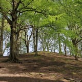 Anglezarke Reservoir, Lancashire, England - 666 Reviews, Map | AllTrails