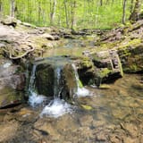 Monocacy Hill Trail, Pennsylvania - 1,874 Reviews, Map | AllTrails