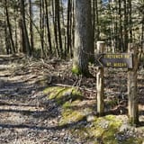 Mount Misery Trail, Connecticut - 899 Reviews, Map | AllTrails