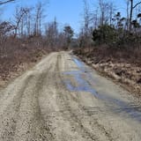 Mount Misery Trail, Connecticut - 899 Reviews, Map | AllTrails