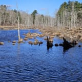 Mount Misery Trail, Connecticut - 899 Reviews, Map | AllTrails