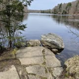 Benedict Pond Loop Trail, Massachusetts - 695 Reviews, Map | AllTrails