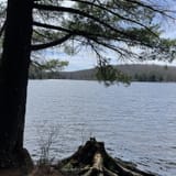 Benedict Pond Loop Trail, Massachusetts - 695 Reviews, Map | AllTrails