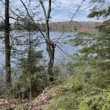 Benedict Pond Loop Trail, Massachusetts - 695 Reviews, Map | AllTrails