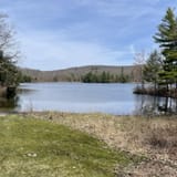 Benedict Pond Loop Trail, Massachusetts - 695 Reviews, Map | AllTrails