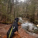 Basin Cascade Trail, New Hampshire - 1,735 Reviews, Map | AllTrails
